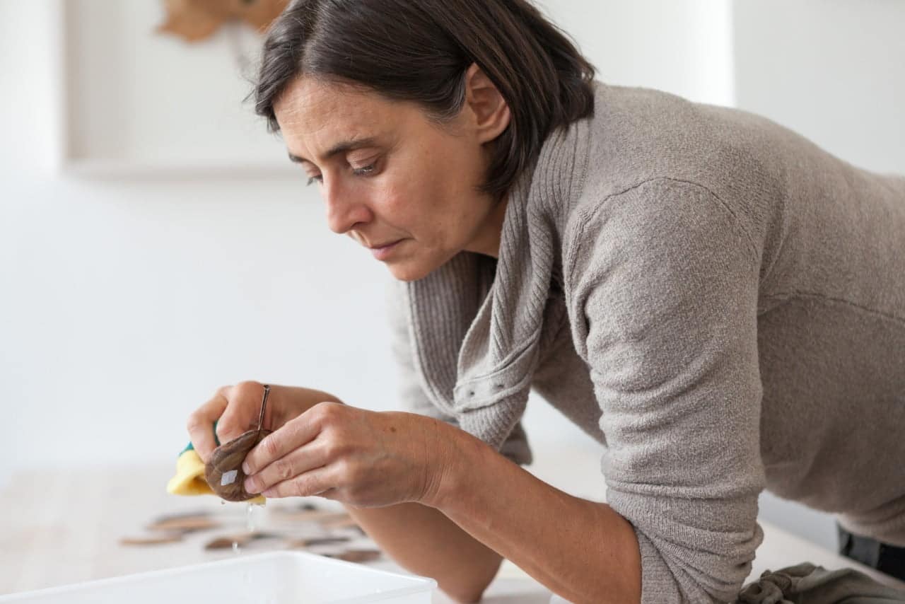 Susanna Bauer: more information | art.earth