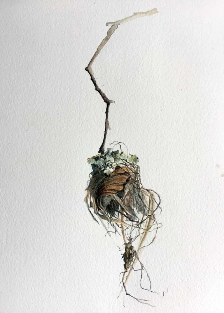Exhibition: Being-with, Making-with | art.earth